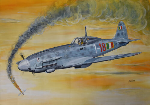 TAURO MODEL 305 Macchi MC.205 Veltro