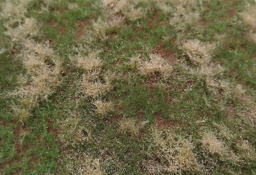 Polák 4725 Meadow From The Series 'Uncultivated Meadow' 19,5 x 24,5cm