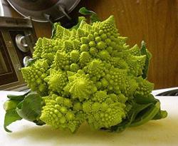 Karfiol Italian Romanesco Ottobrino (1000 semenki)