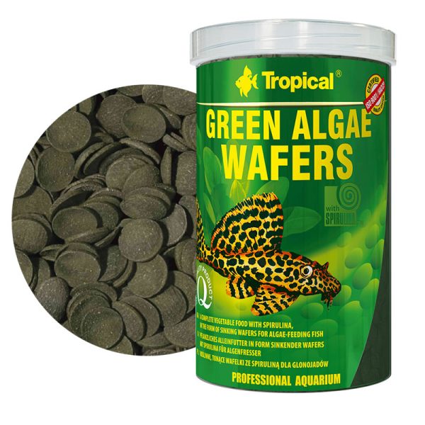 GREEN ALGAE WAFERS