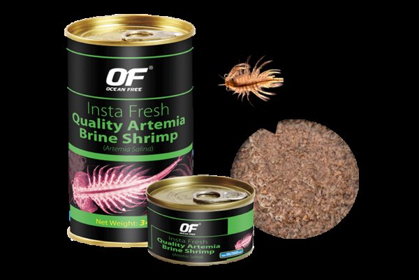 OF Quality Artemia Brine Shrimp 100g