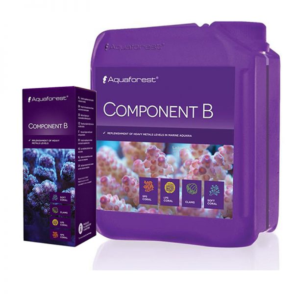 Component B