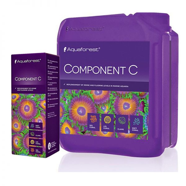 Component C