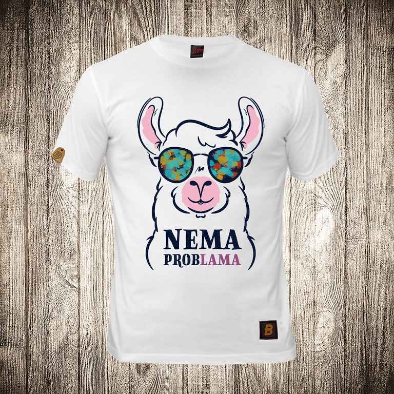 Nema ProbLAMA