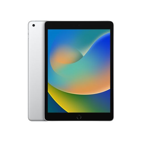 Apple iPad 9th Gen 10.2 inch A13 WiFi 256GB Silver (fk2p3ll/a)