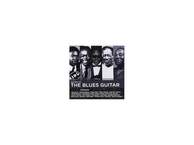 Various Artists - Hall Of Fame - History Of The Blues Guitar