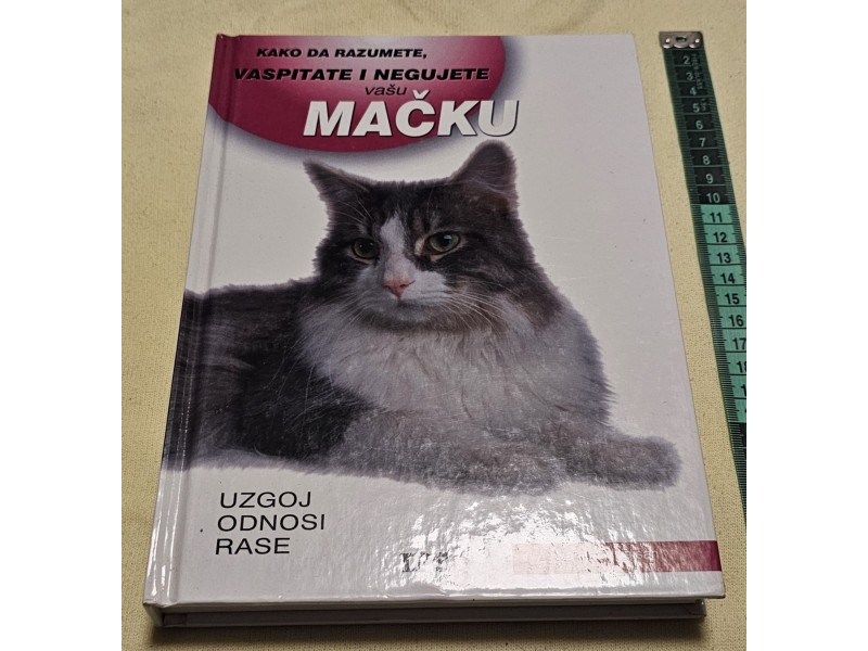 Kako da razumete, vaspitate i negujete svoju macku