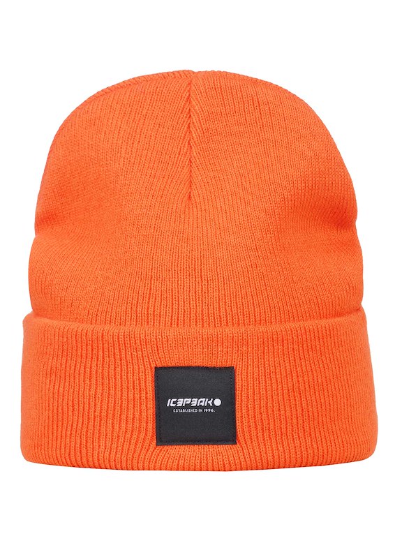 ICEPEAK HARCOURT Beanie
1804 RSD 1262 RSD