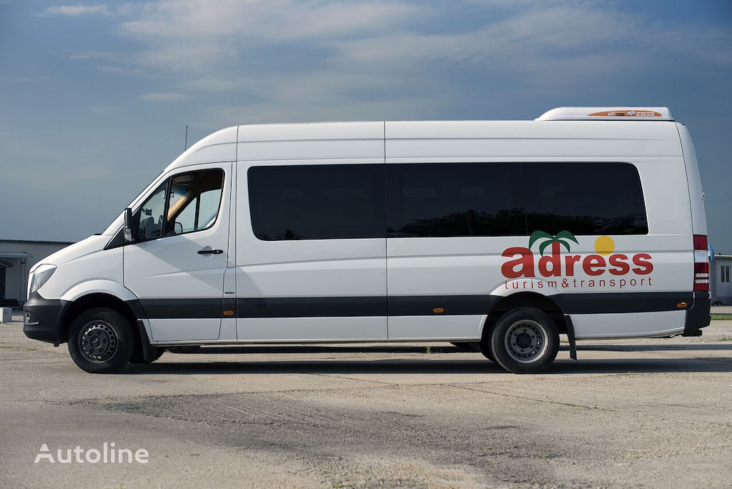 Mercedes-Benz Sprinter 516 putnički minibus