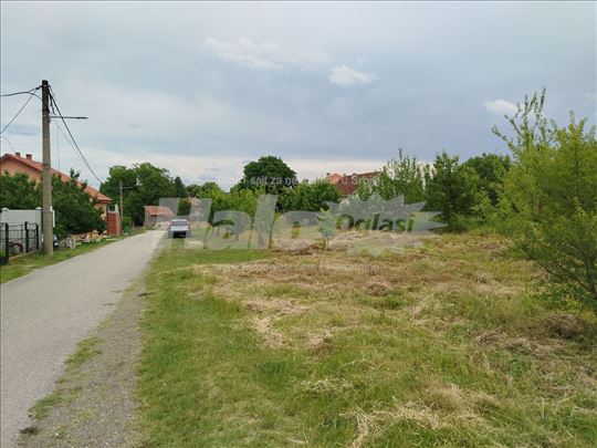 Plac 12 ari, Boleč