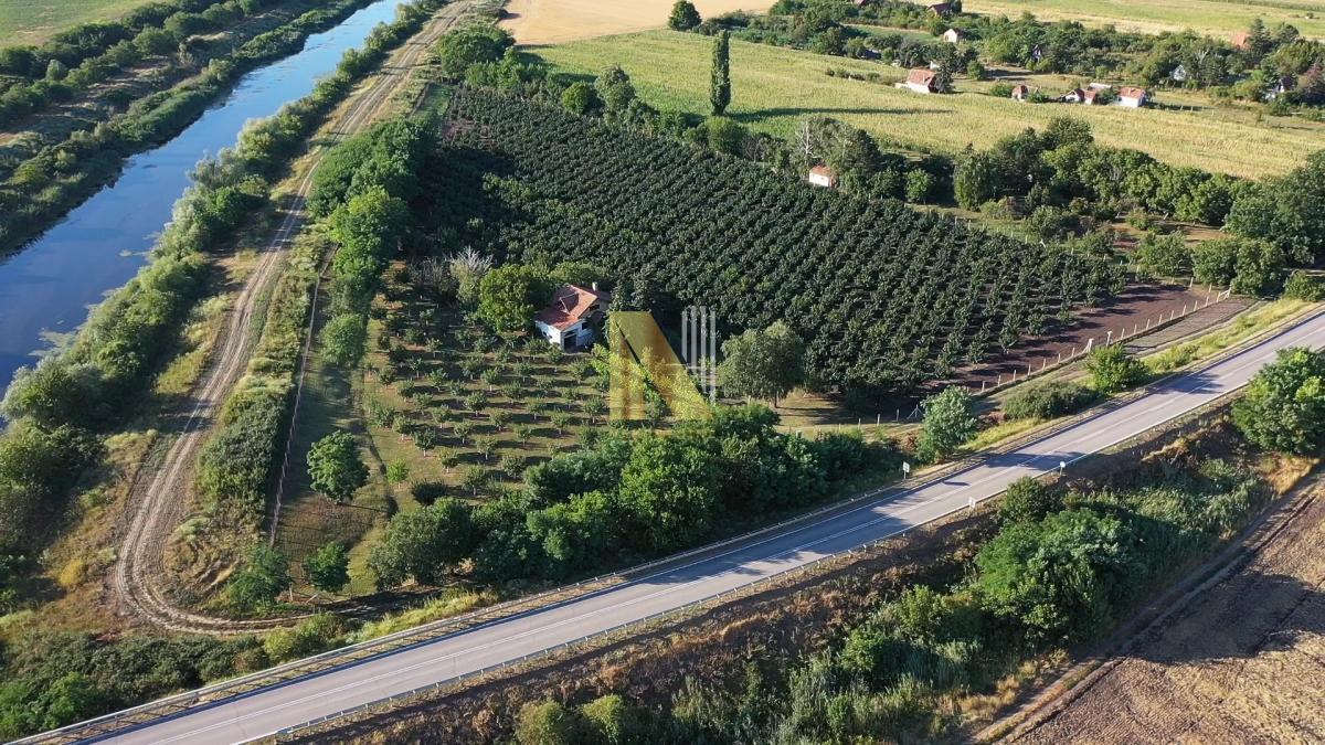 Plantaža lešnika sa vikend kućom