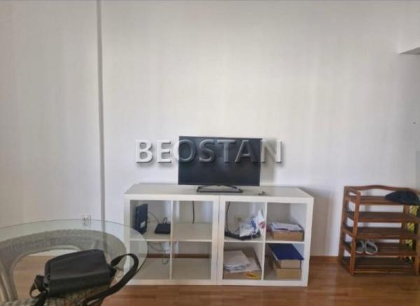 Mileve Maric Ajnstajn, Jednosoban stan za izdavanje, 38m2, 400€