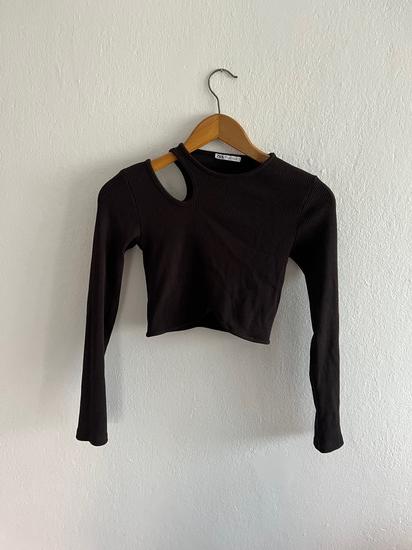 Zara crop top