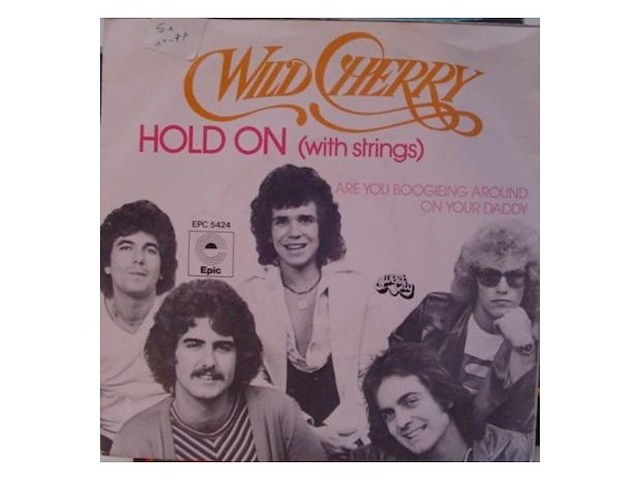 Wild Cherry – Hold On / Are You Boogieing Around On You