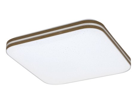 RABALUX OSCAR2 71178 LED PLAFONJERA