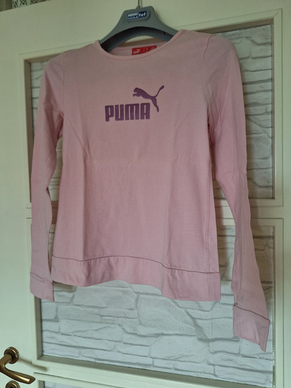 Puma tanji duks