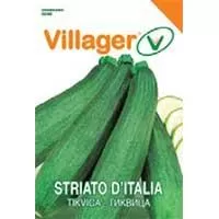 Seme 10 kesica Tikvica Striato d Italia Villager