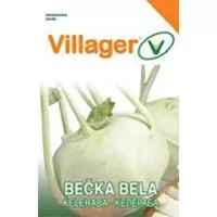 Seme za povrće 10 kesica - Keleraba bečka bela Villager 003599