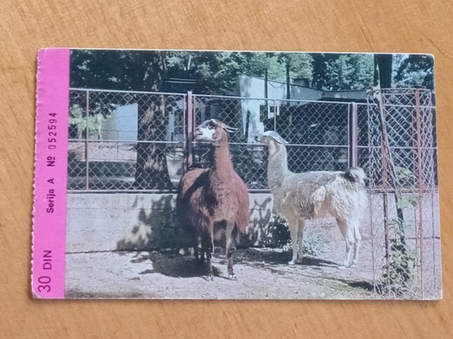 Zagreb - ZOO Vrt - Životinja Lama - Hrvatska - Čista