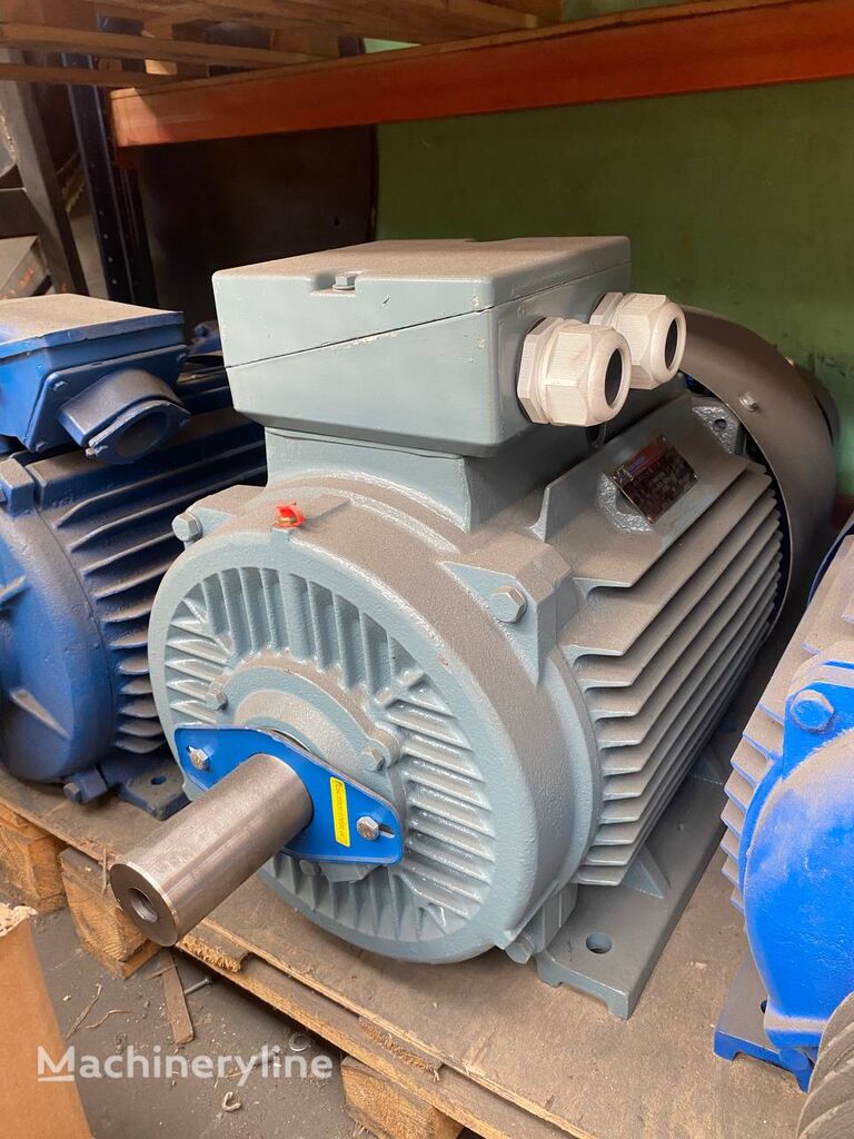 Peletto OMEC Elektro 30 kW elektromotor