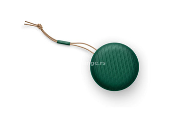 BANG-OLUFSEN Beosound A1 (Gen 2) green