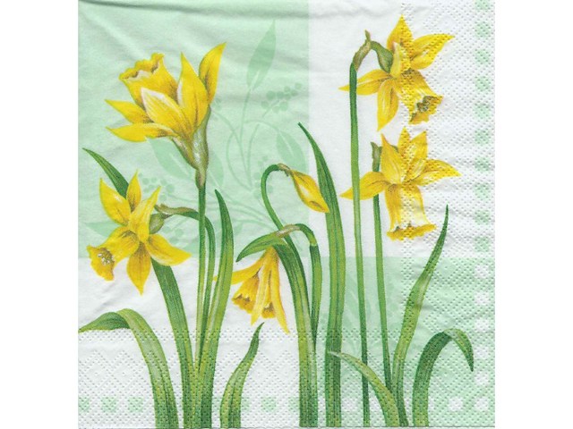 Salveta C_123 - 33x33cm - Cveće Narcis