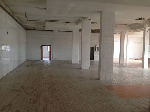 Izdavanje, poslovni prostor, 480m2, Altina, Beograd