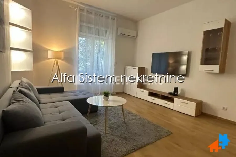 Izdavanje, dvosoban stan, 46m2, Dorćol, Beograd