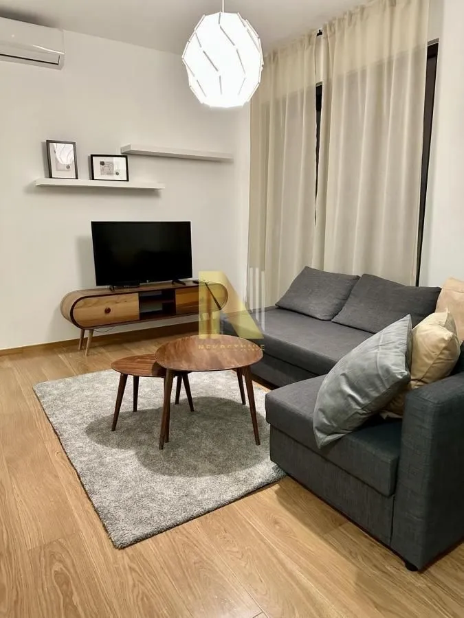 Izdavanje, dvosoban stan, 49m2, Centar, Novi Sad