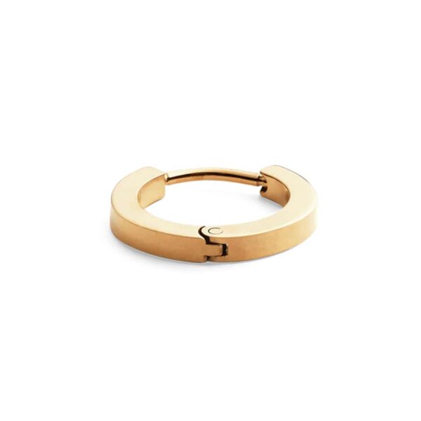 Daniel Wellington DW00400872 Micro Hoop Earring