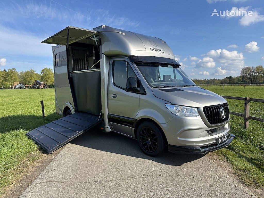 Mercedes-Benz Sprinter 317 AMG vozilo za prevoz konja