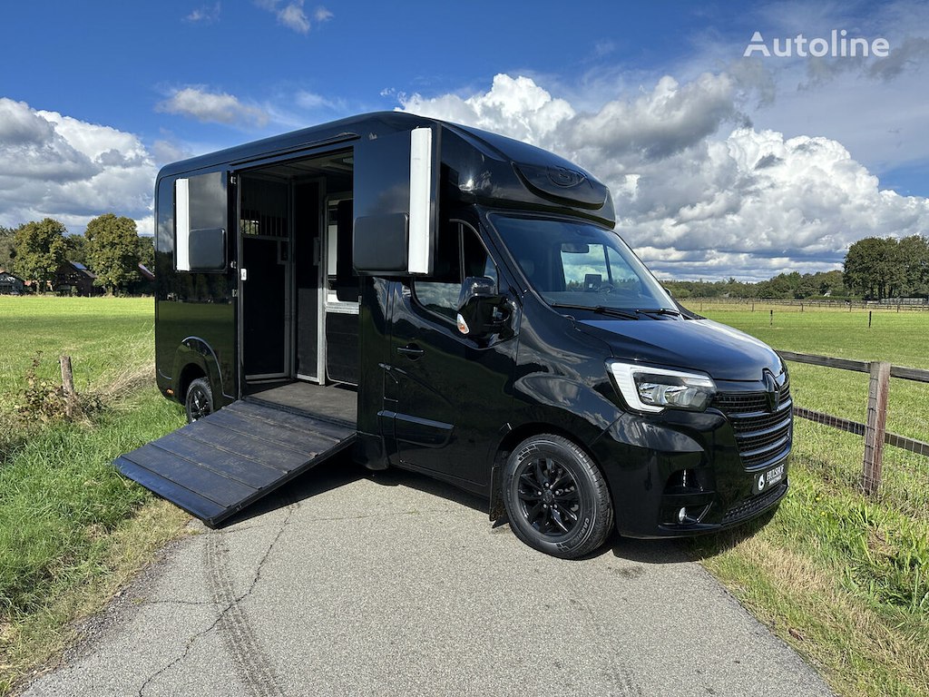 Renault Master STX 2-paards paardenvrachtwagen B-rijbewijs vozilo za prevoz konja