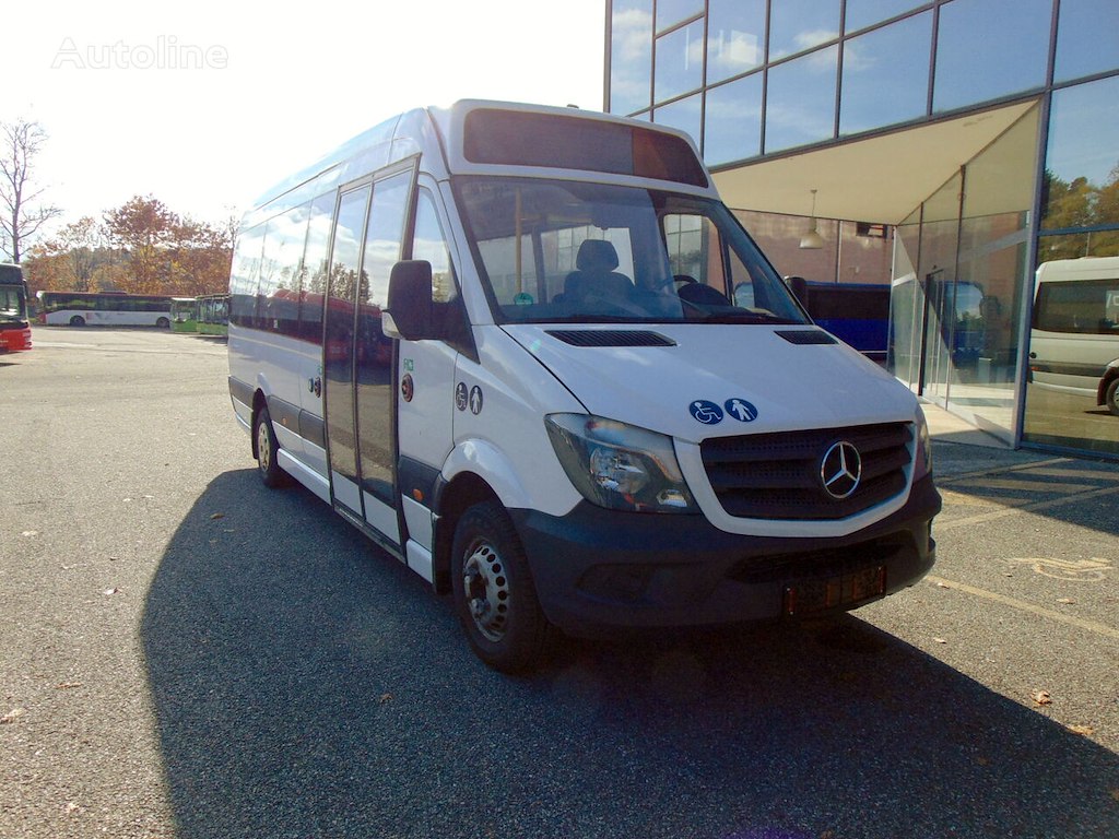 Mercedes-Benz SPRINTER ALTAS putnički minibus