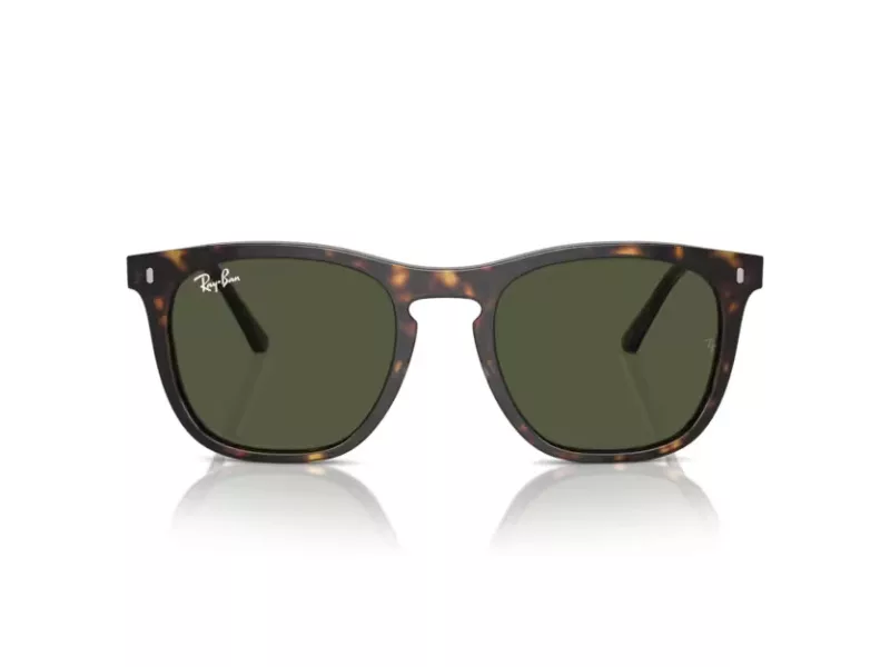 Ray-Ban Naočare za sunce RB 2210 902/31