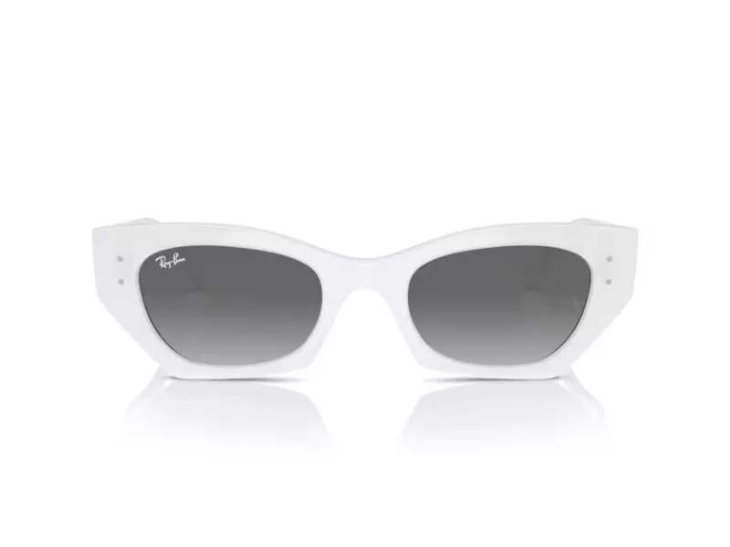 Ray-Ban Zena Naočare za sunce RB 4430 675911