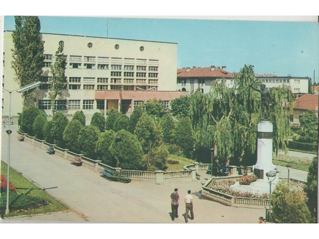 Svetozarevo