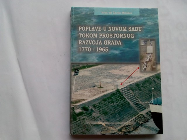 Poplave u Novom Sadu tokom prostornog razvoja grada