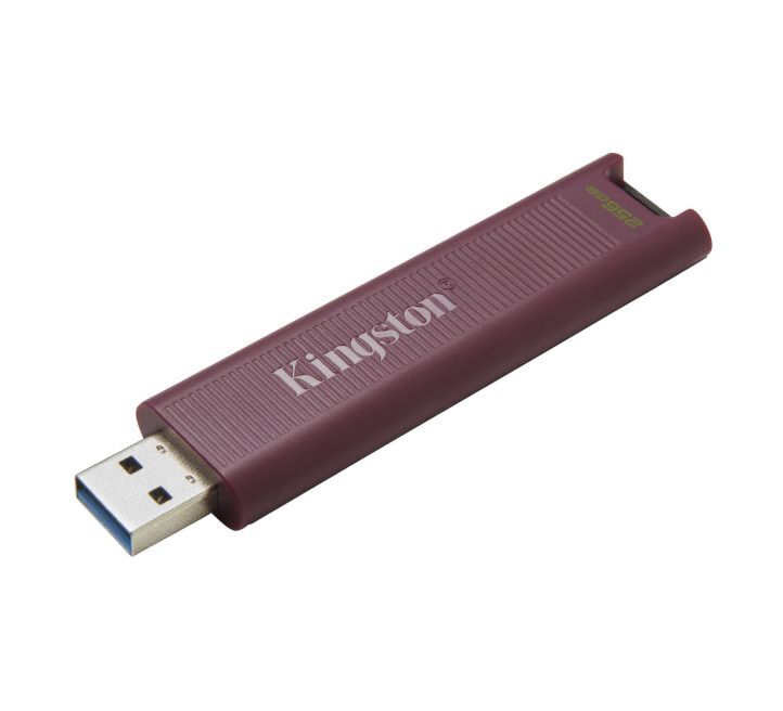 Kingston USB flash DataTraveler Max DTMAXA 256 GB