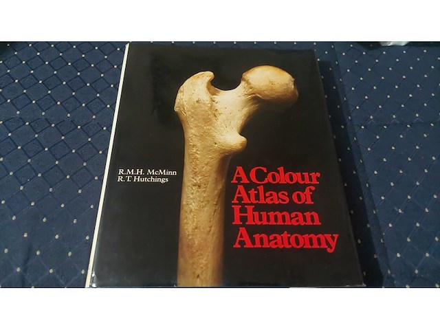 A Colour Atlas of Human Anatomy/McMinn,Hutchings