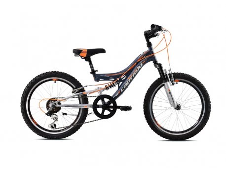 CAPRIOLO MTB CTX200 20''/6HT sivo-oranz