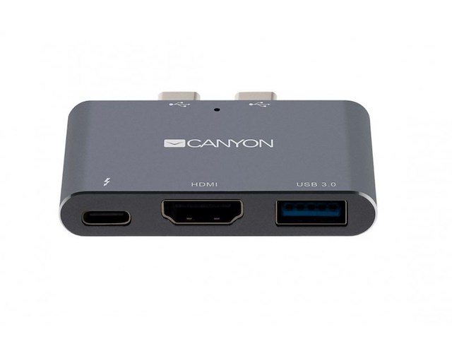 CANYON DS-1 MULTIPORT DOCKING Station