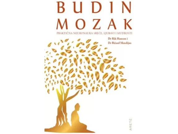 Budin mozak - Rik Hanson, Ričard Mendijus