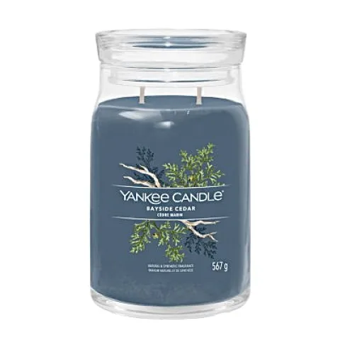 Bayside Cedar Signature mirisna sveća - velika tegla (kedar, bergamot, grejp, amber, mošus...)