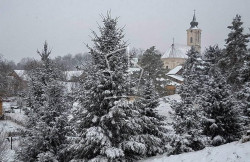 Kuća na Fruškoj Gori ID#9384