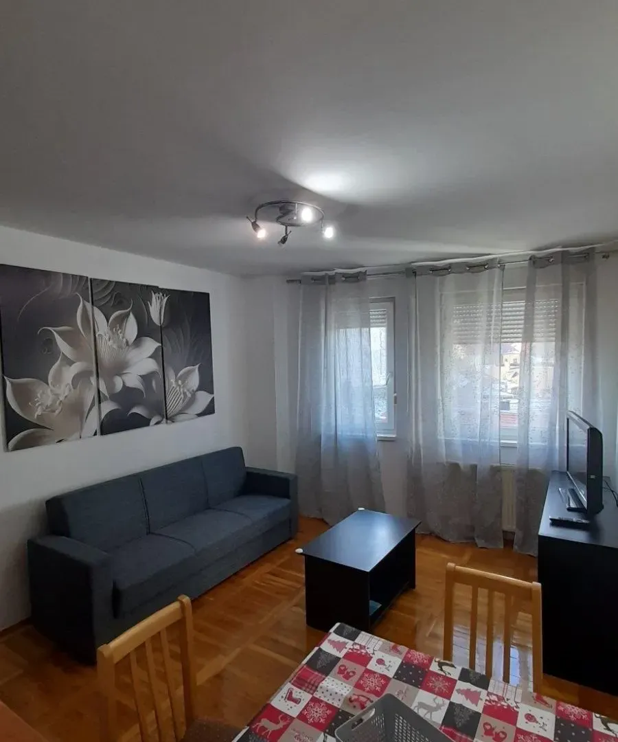 Izdavanje, dvosoban stan, 40m2, Centar, Novi Sad