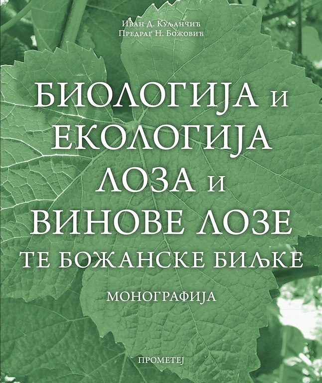 Биологија и екологија лоза и винове лозе – те божанске биљке