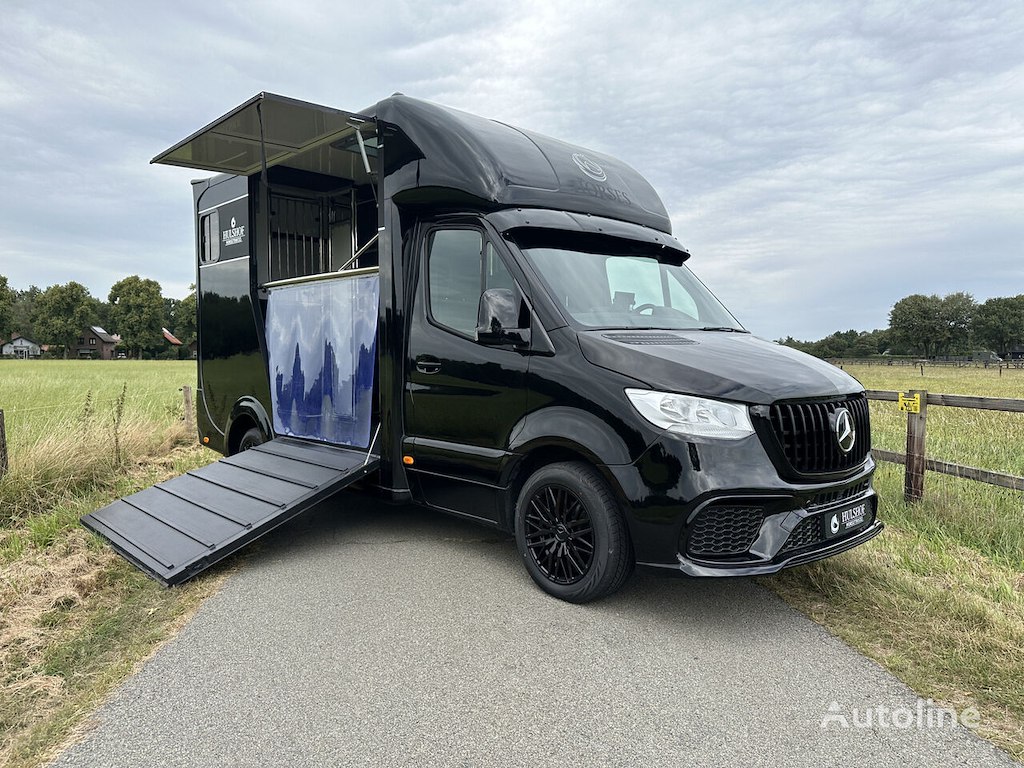 Mercedes-Benz Sprinter 315 AMG vozilo za prevoz konja