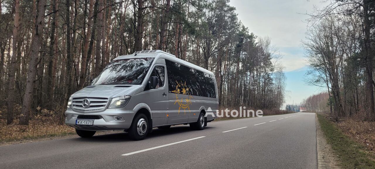 Mercedes-Benz 519 putnički minibus