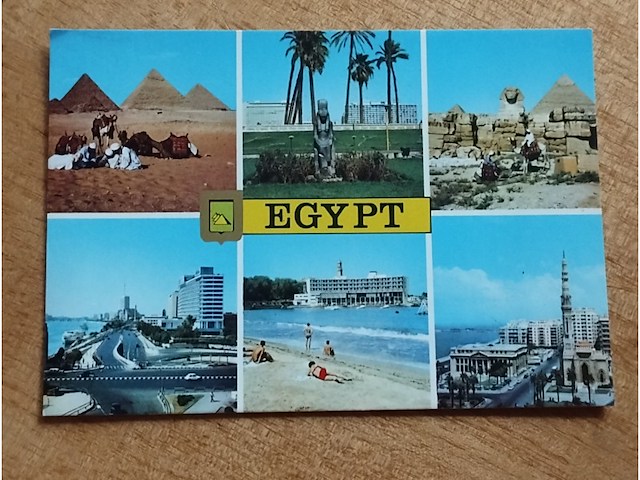 Egipat - Egypt - Afrika - Životinje - Kamila - Čista