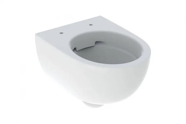 Geberit Konzolna WC šolja Selnova Compact 500.377.01.2